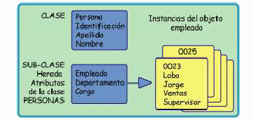 2.6.4 Bases de Datos Orientadas a Objetos (BDOO) | Manual Dataprix TI